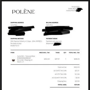 Polene | Bags | Polene Mini Cyme Tote Bag Root | Poshmark